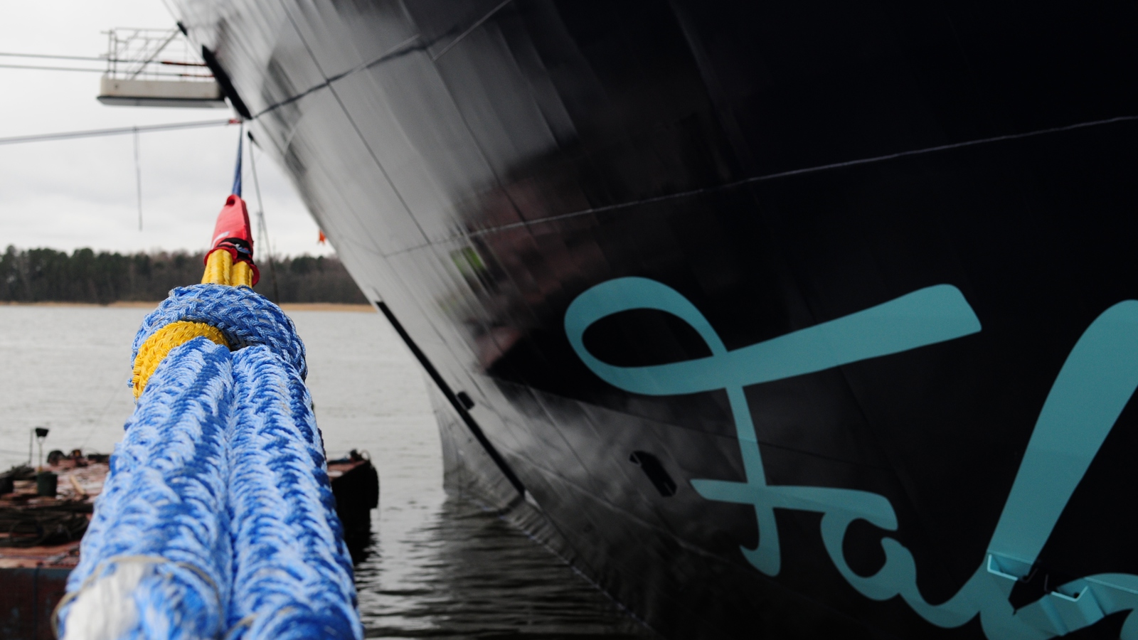 Replace Ringtails With Single Tails