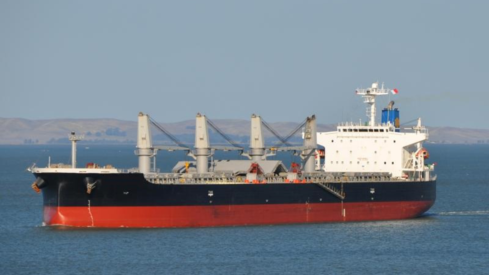 Bulk Carrier Management
