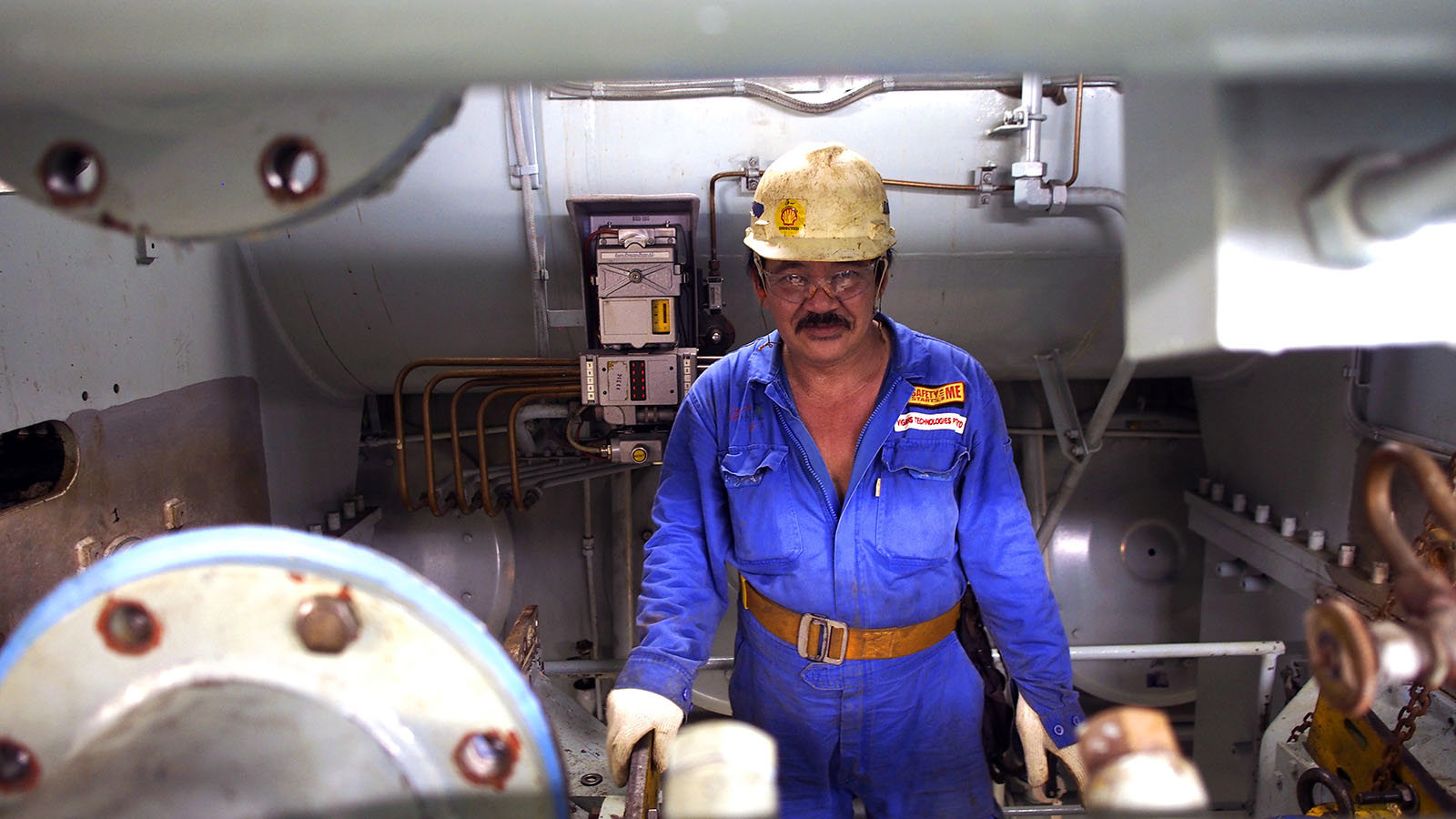 Bacteria in marine diesel fuel oil