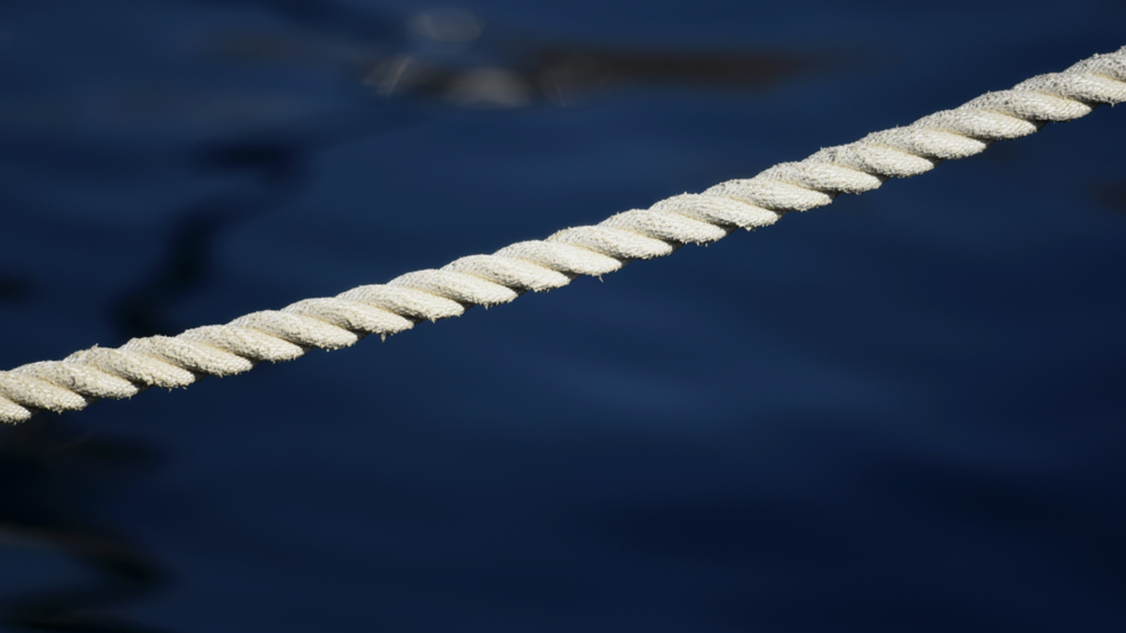 Water absorption in polyamide tails can cause their weight to increase ...